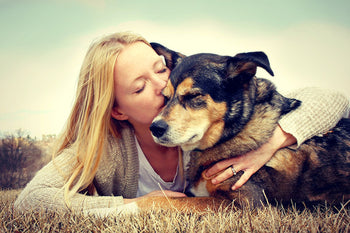 Dog Friendship Quotes and Dog Friend Quotes Collection: Celebrate the ...
